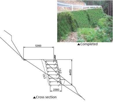 Confined soil reinforced embankment wall method; ADEAM Geopack ...